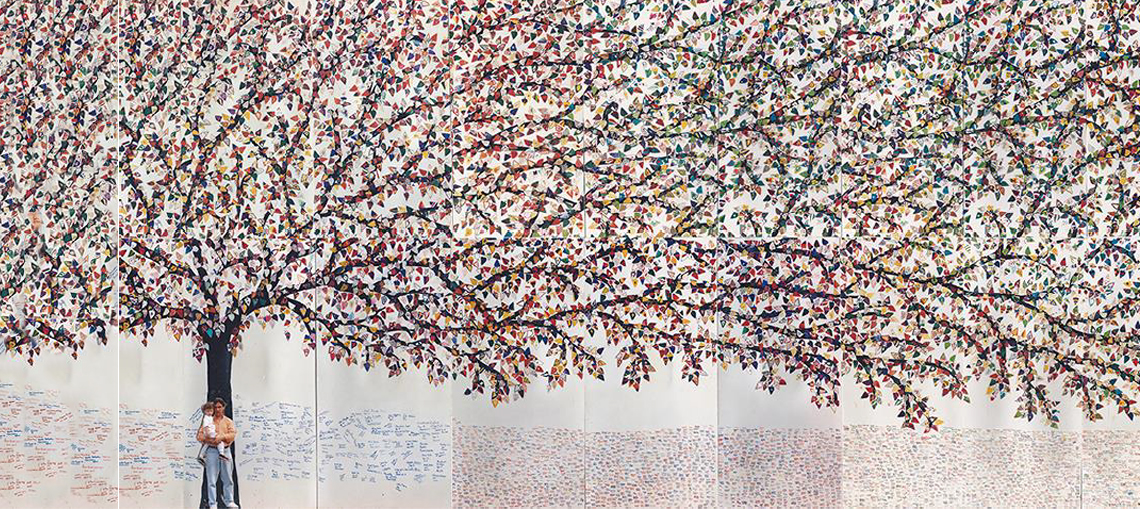 Projeto A Árvore - Fundação Abrinq